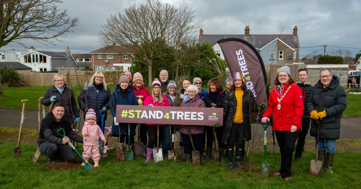 18,000 trees planted in Ards and North Down during latest tree planting ...